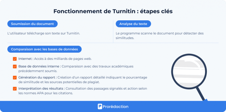 Logiciel Turnitin : est-il un détecteur anti-plagiat fiable ? 🔍